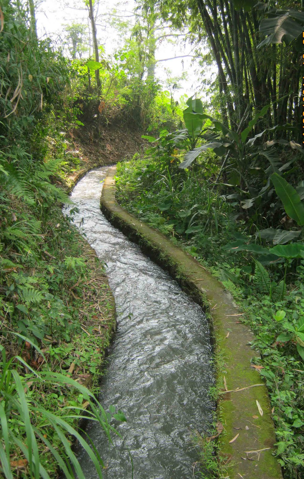National Plus @ Mutiara Bunda School: Micro Hydro Fieldtrip – PPLH ...