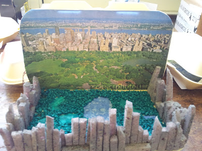 Landscape in a Box - more student examples