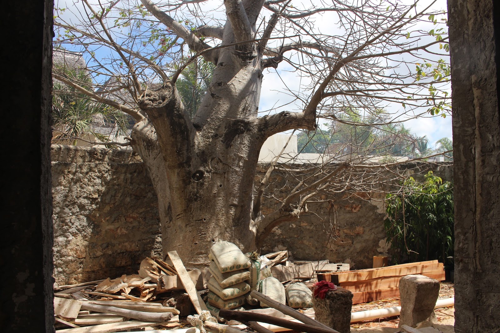 Kenyan Arts Review: LUXURIOUS SWAHILI HOMES WITH MODERN AMENITIES IN ...