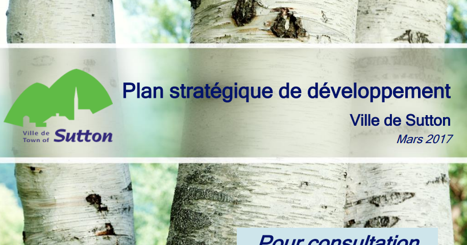 Amis du Pinacle: Sutton: plan stratégique