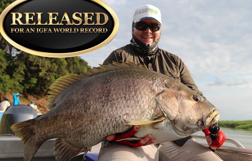 International Fishing News: WORLD RECORDS: huge fishes in Guinea and Angola
