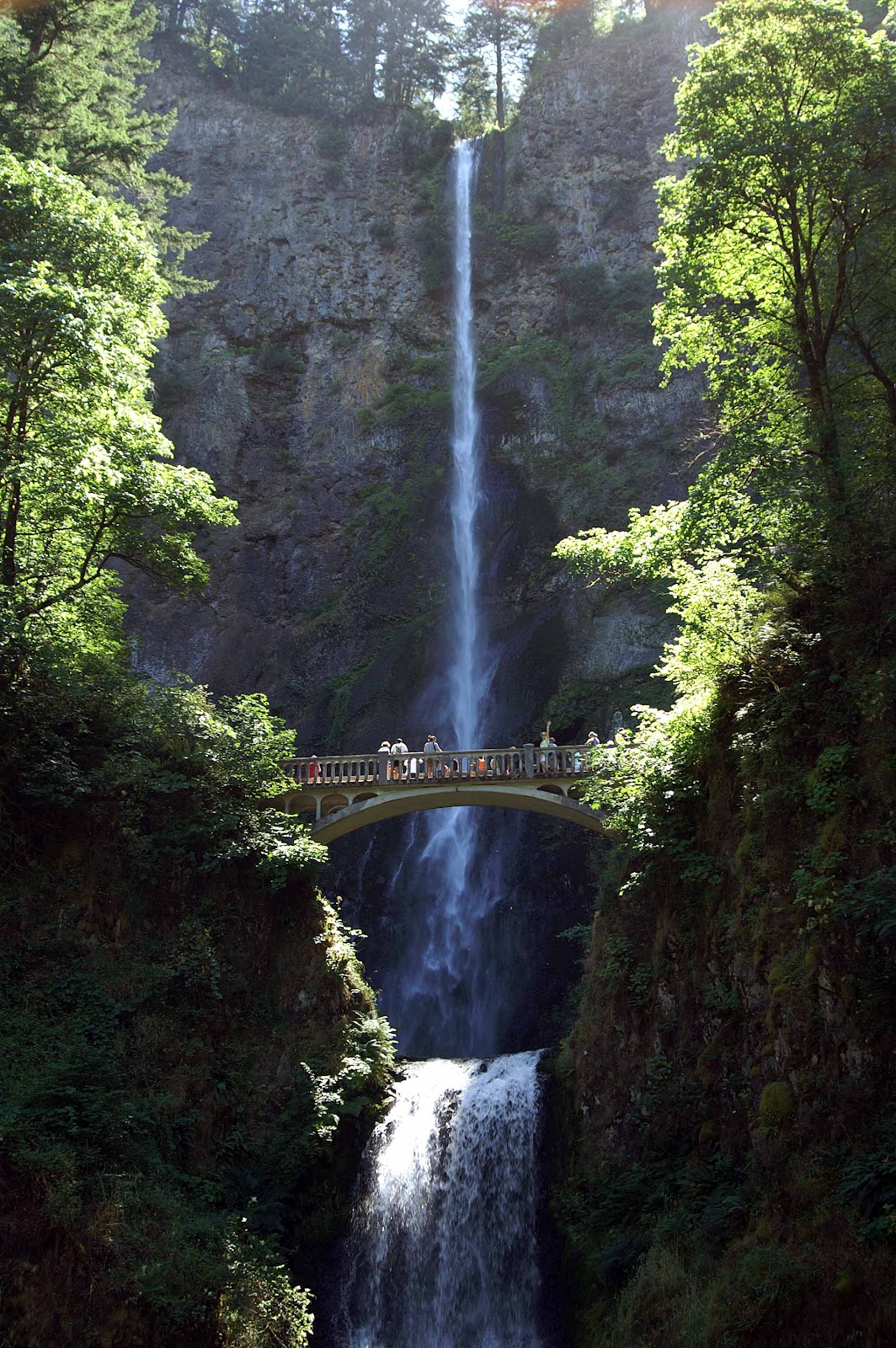 Birding Is Fun!: A Great Week of Birding OR & AZ