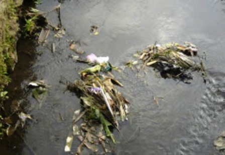 4 Khasiat Air Comberan Dalam Kehidupan Sehari-hari | Khasiat