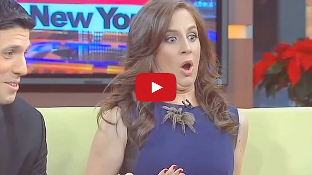 The Best News Bloopers Of January 2015