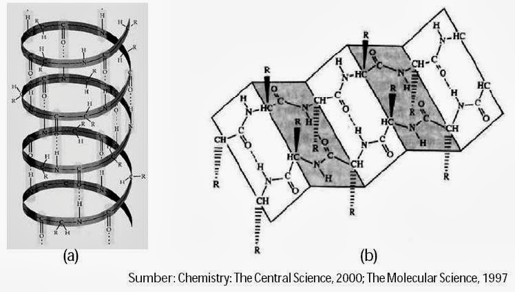 Pengertian Protein, Contoh, Struktur, Sifat, Bentuk, Jenis, Fungsi ...
