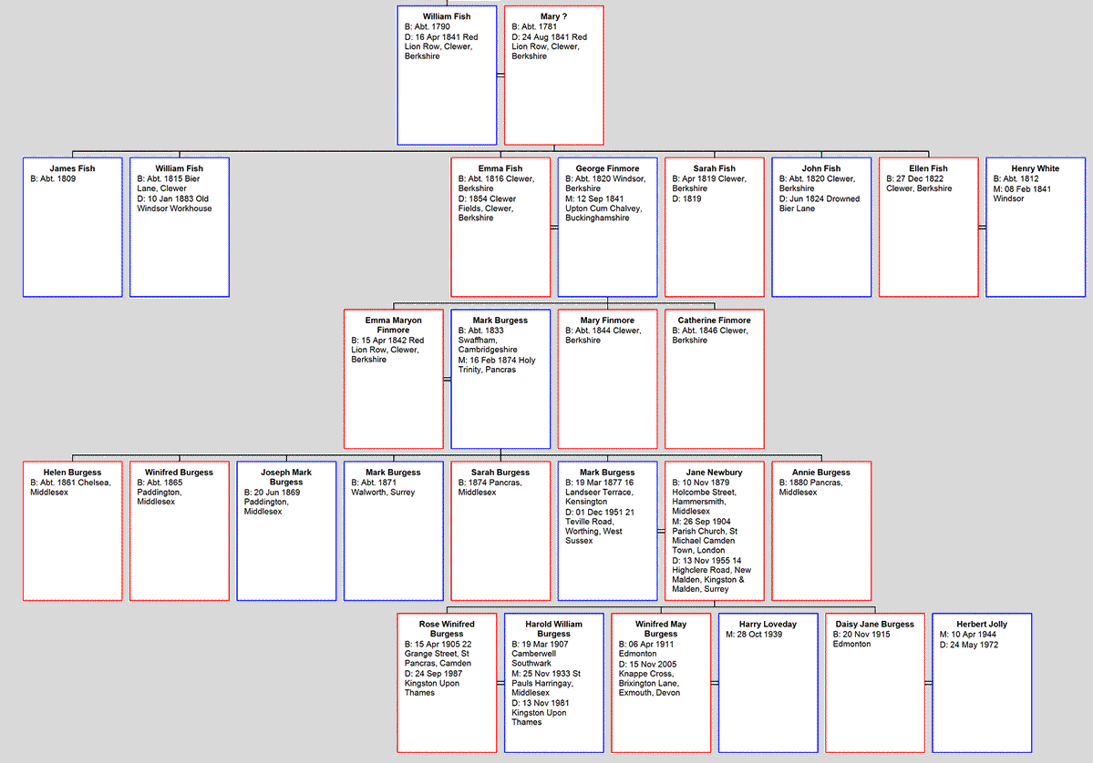 Windsor Fish family History 1700 - 2018 England: FISH FAMILY TREE DIAGRAM