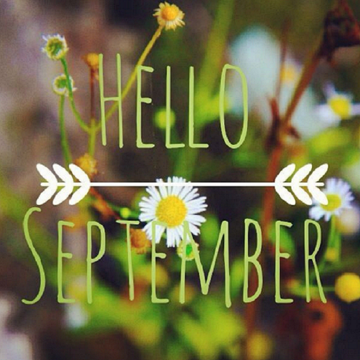 PLANETA TERRA: LEMBRO QUE SETEMBRO É MÊS DE CORAÇÃO