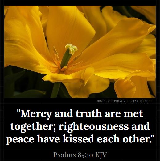 2 Timothy 2:15 Truth: Verse of the Day: Psalms 85:10 KJV