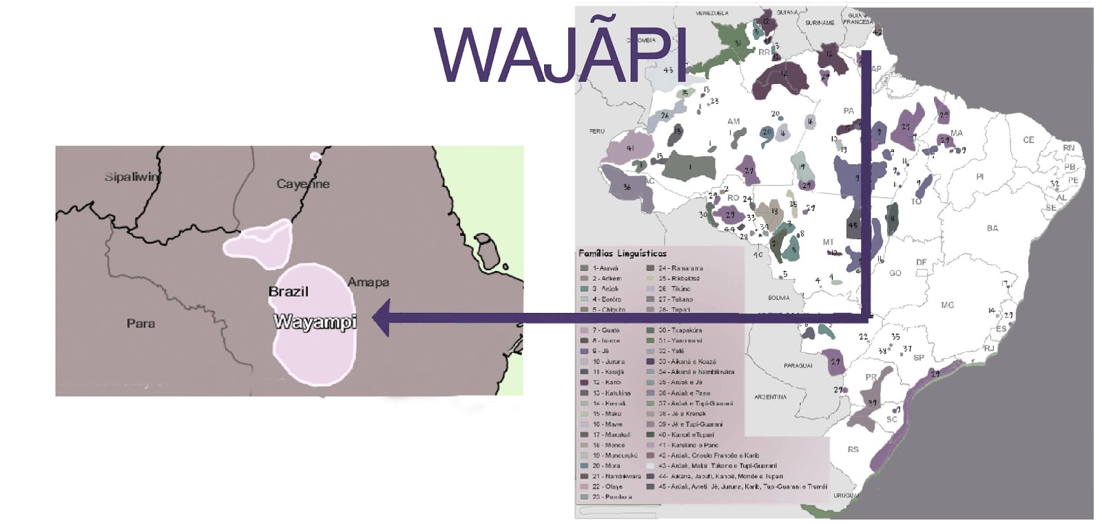 Povos Indígenas Brasileiros: Wajãpi