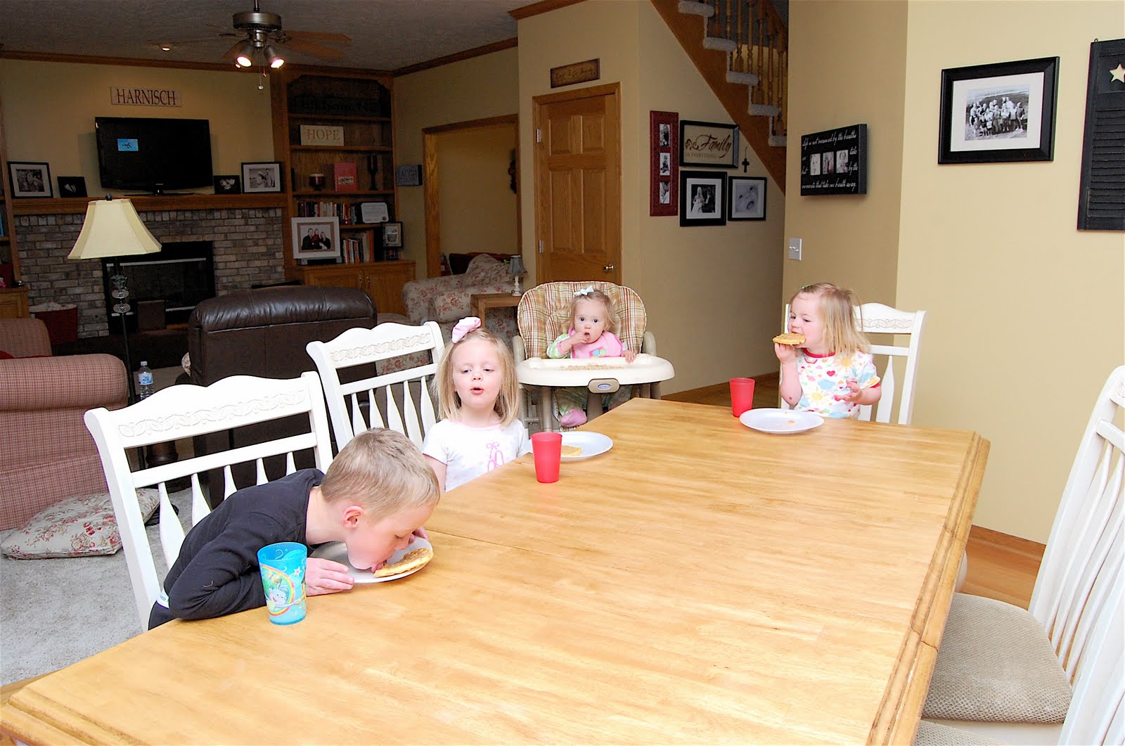 The Harnisch Family: Welcome to Holland