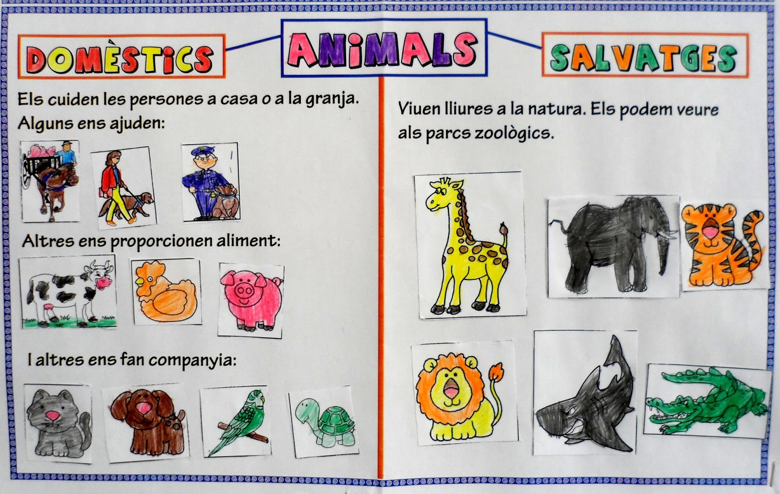 EXPLORADORS DE PRIMER: Animals domèstics i salvatges