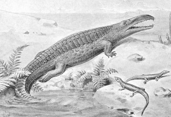 Los animales en la prehistoria: Animales prehistóricos con la letra B