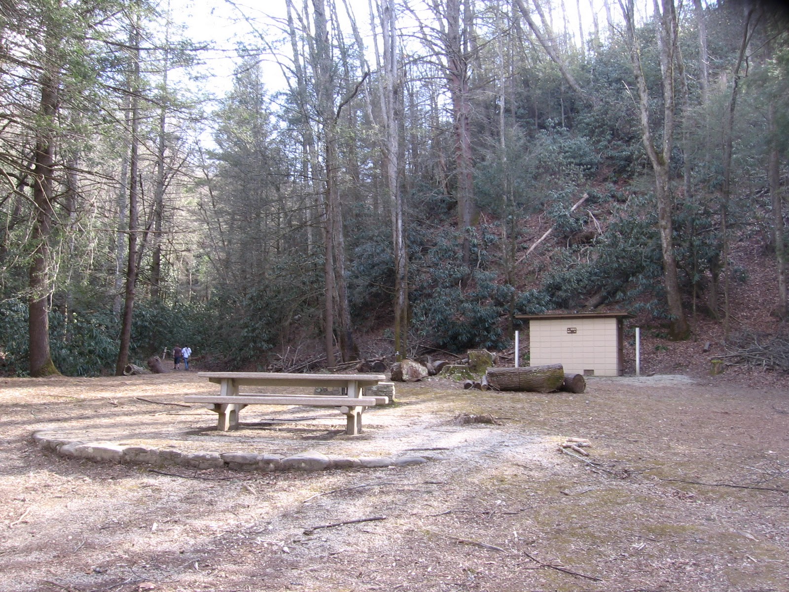 Relaxed Hiking NC: Youngs Ridge Trail to Kitsuma Peak 2/19/2011