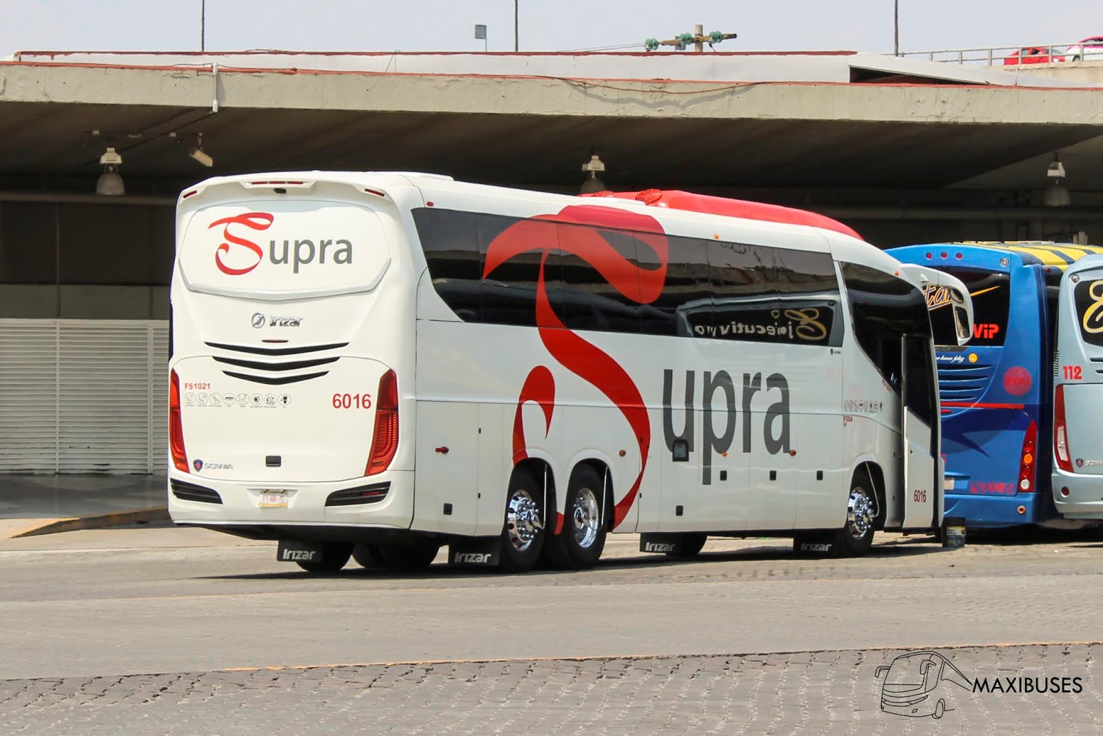 MAXIBUSES: SUPRA
