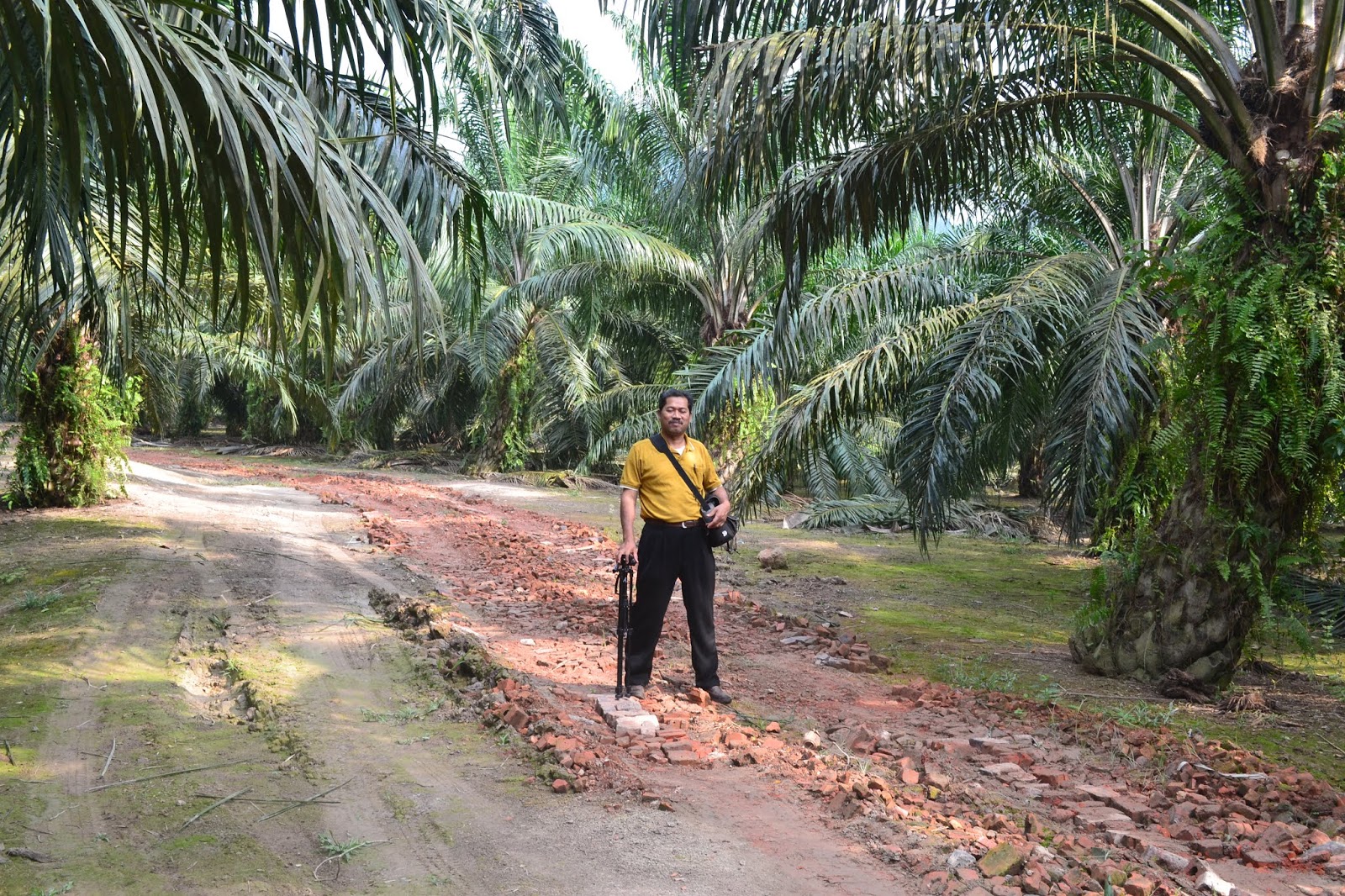 Tun Mamat dari Melaka ke Bukit Inas, Seri Medan