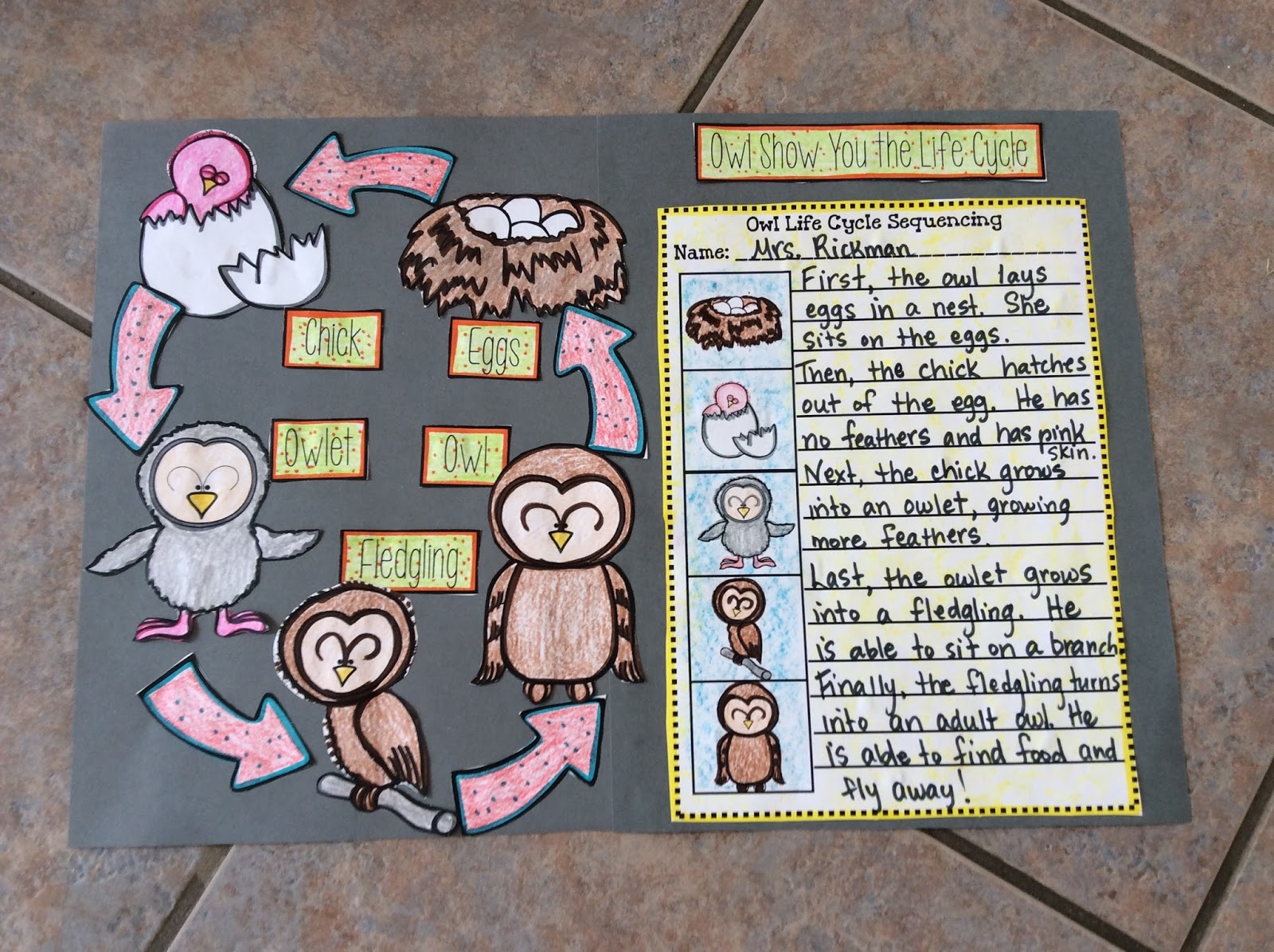 Create Your Balance With Literacy