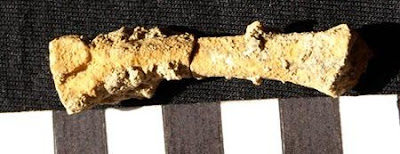 Go Philippines: Callao Man, The Oldest Man Migrate in Philippines ...