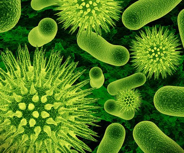 MICROBIOLOGIA INDUSTRIAL : Fisiología microbiana