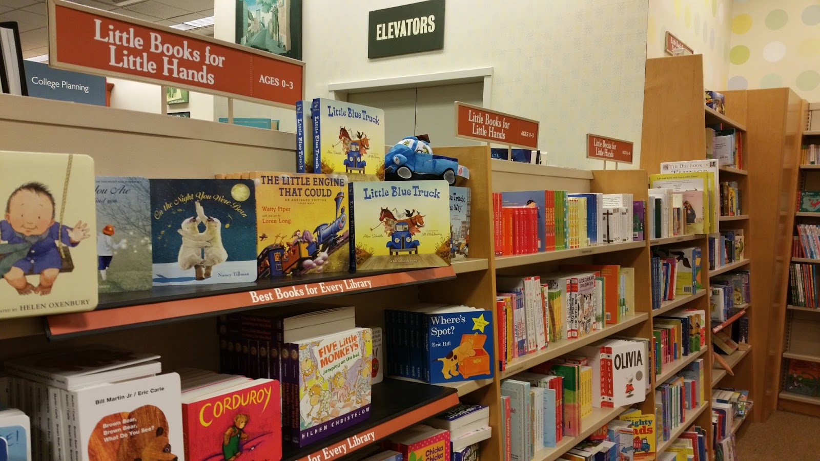Picture Book Den: Picture book differences between the main bookshop ...