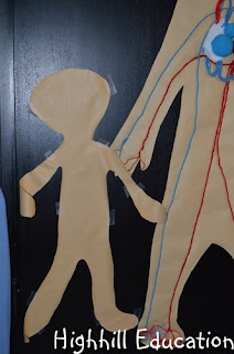 Highhill Homeschool: Human Body Unit - Week 19 - The Endocrine System