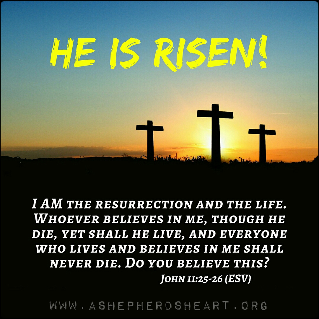 A Shepherd's Heart: He Is Risen!! Resurrection Sunday 2018!