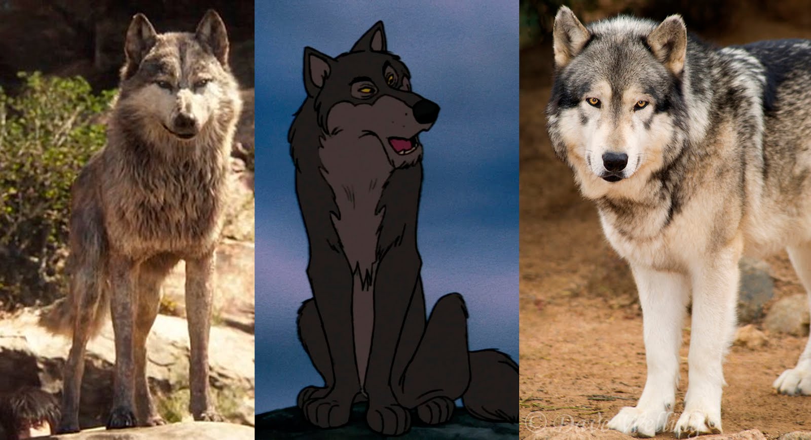 Meteorito Perdido: El Libro de la Selva: La magia hecha realidad