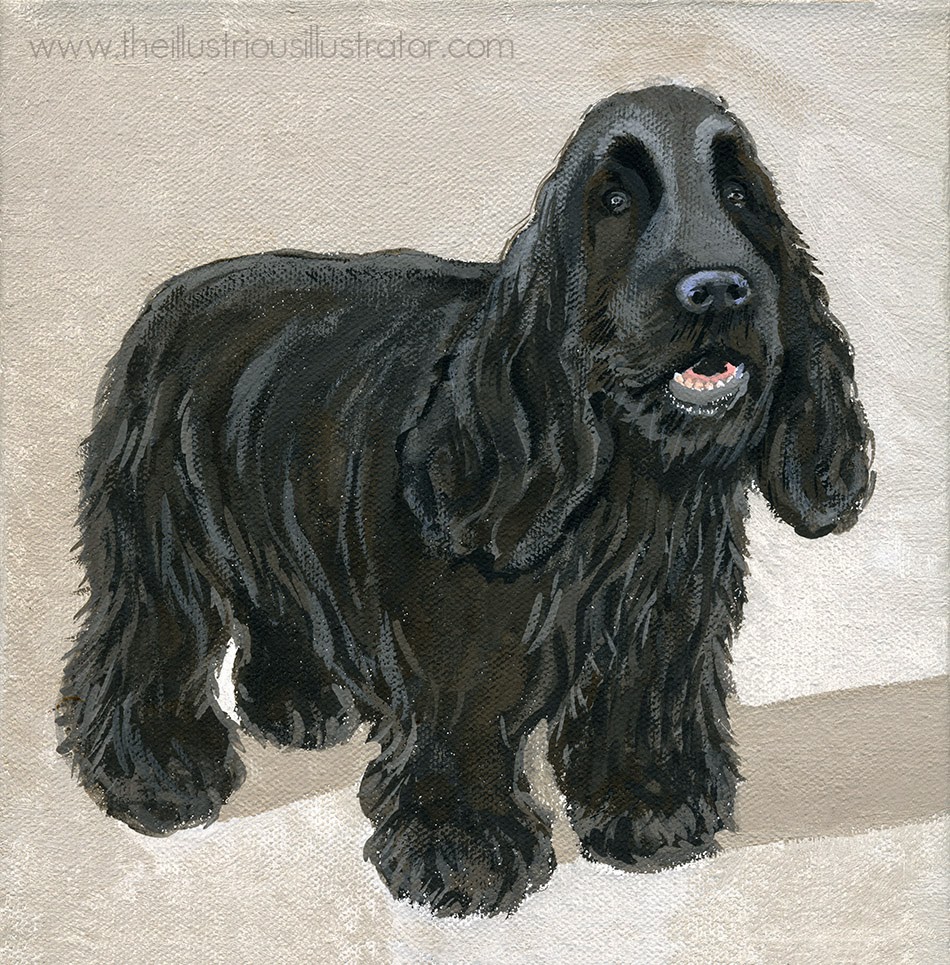 The illustrious illustrator