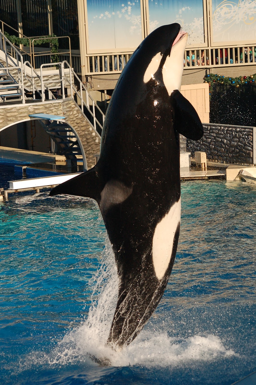 Happy Hour Mom: What's New With Shamu?