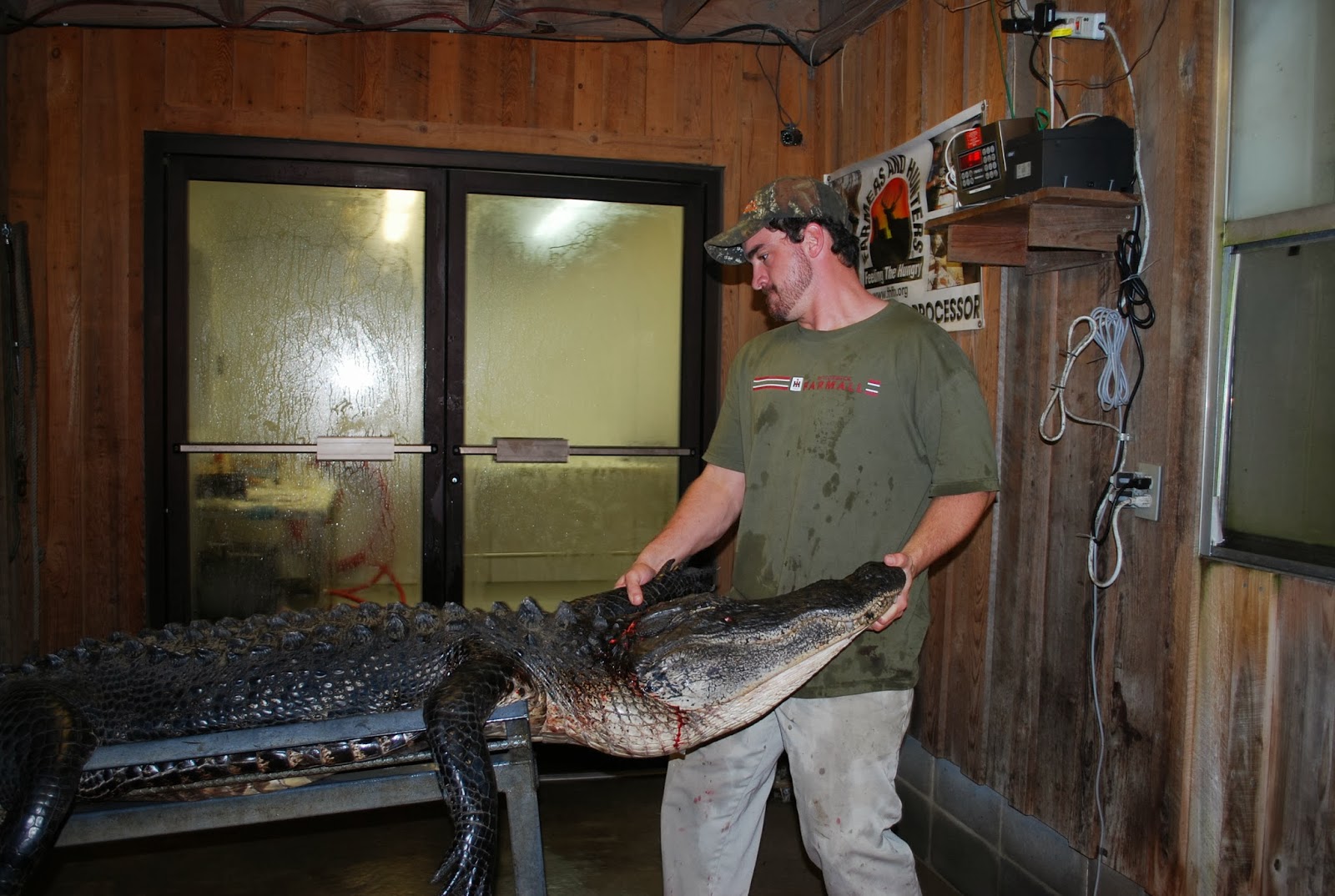 Cordray's: Bryan Logan brought in this big bull gator weighting 217 lbs.