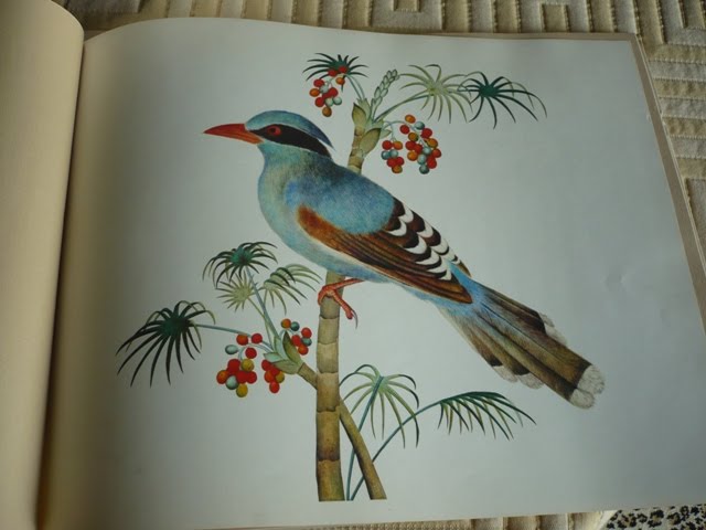 The Peak of Chic®: Chinese Bird Paintings