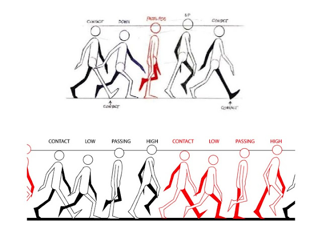 165-166: Walk Cycles