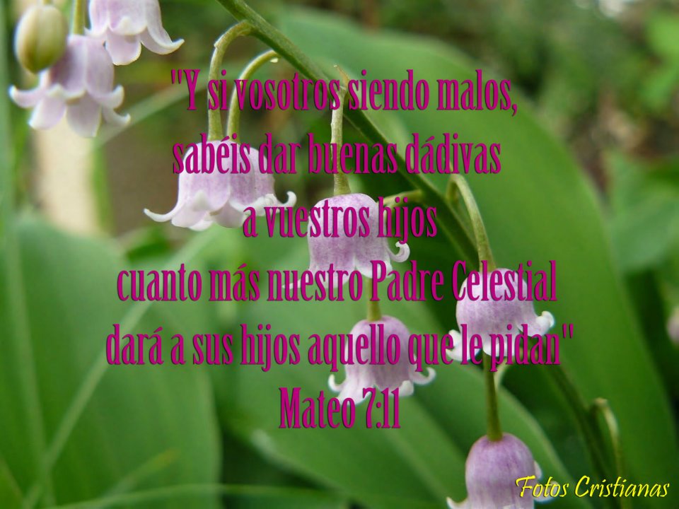 Pensando En Dios: Mateo 7:11