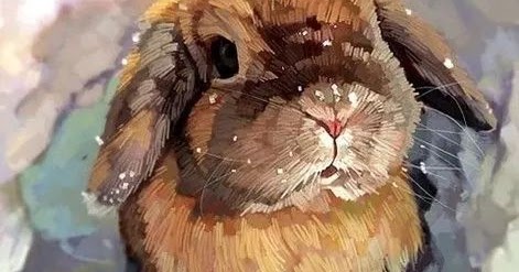 Un lapinou dans la neige ~ L'Art du bonheur