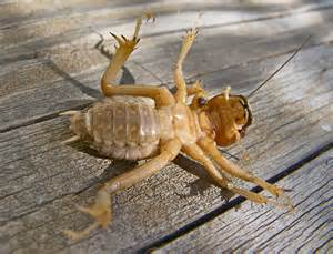 Dear Person Reading This,: 2008