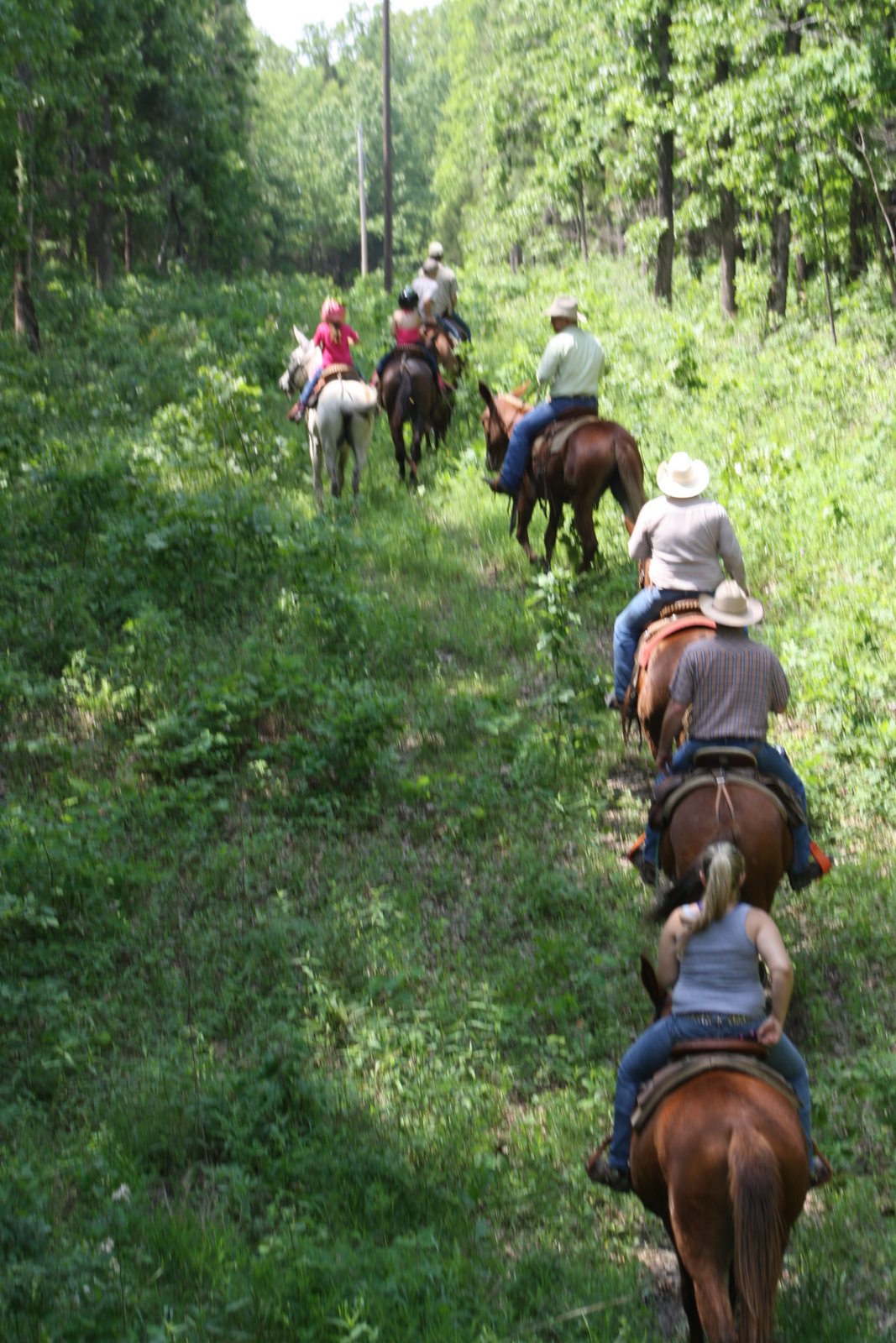 PairADice Mules: Trail Riding