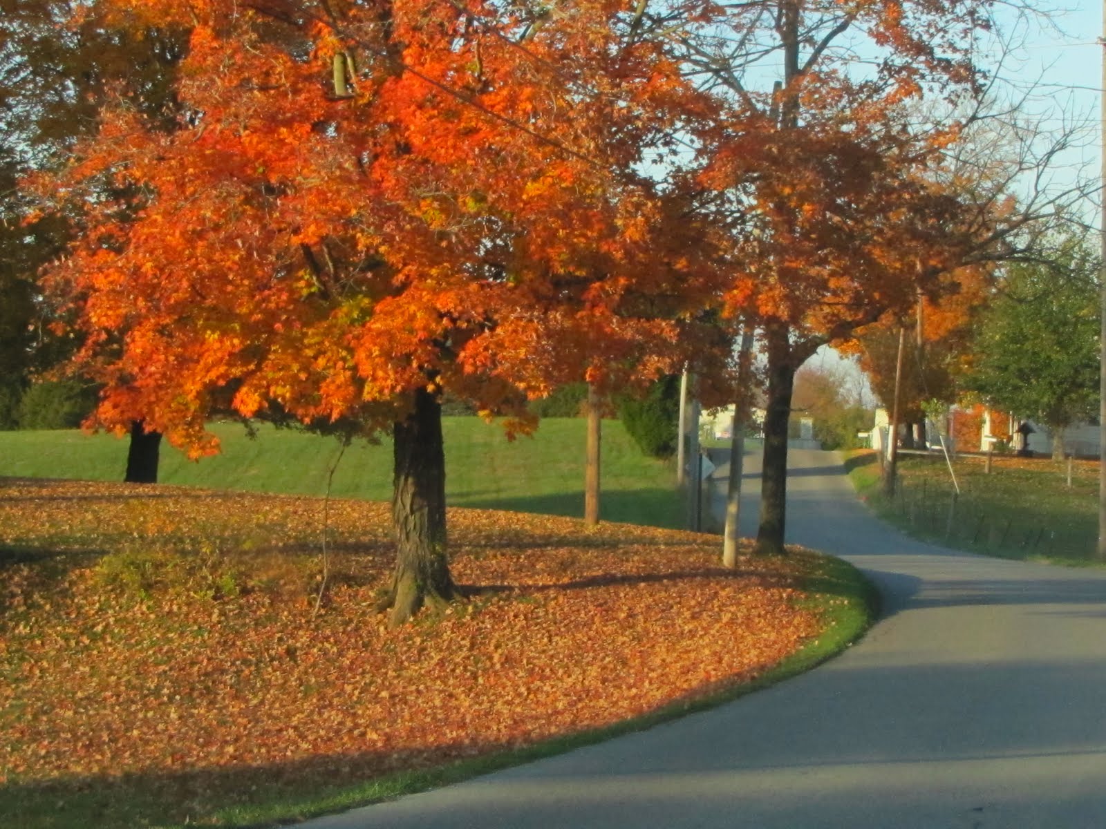 Tidbits of Joy: Awesome Fall in Southern Indiana