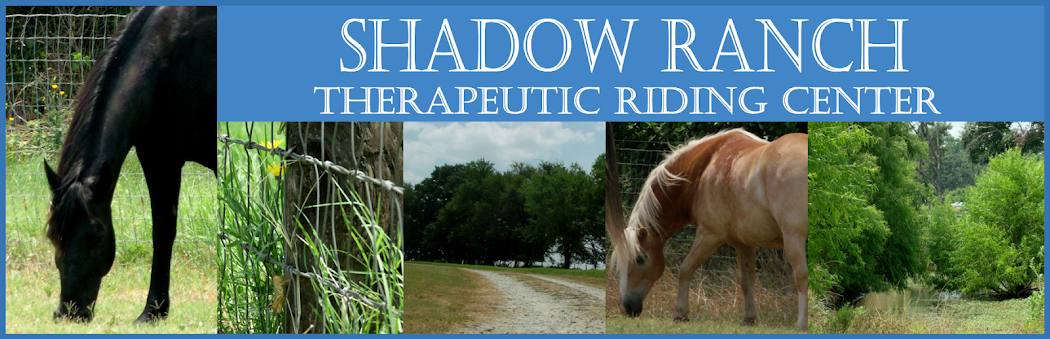Shadow Ranch Therapeutic Riding Center: Testimonials