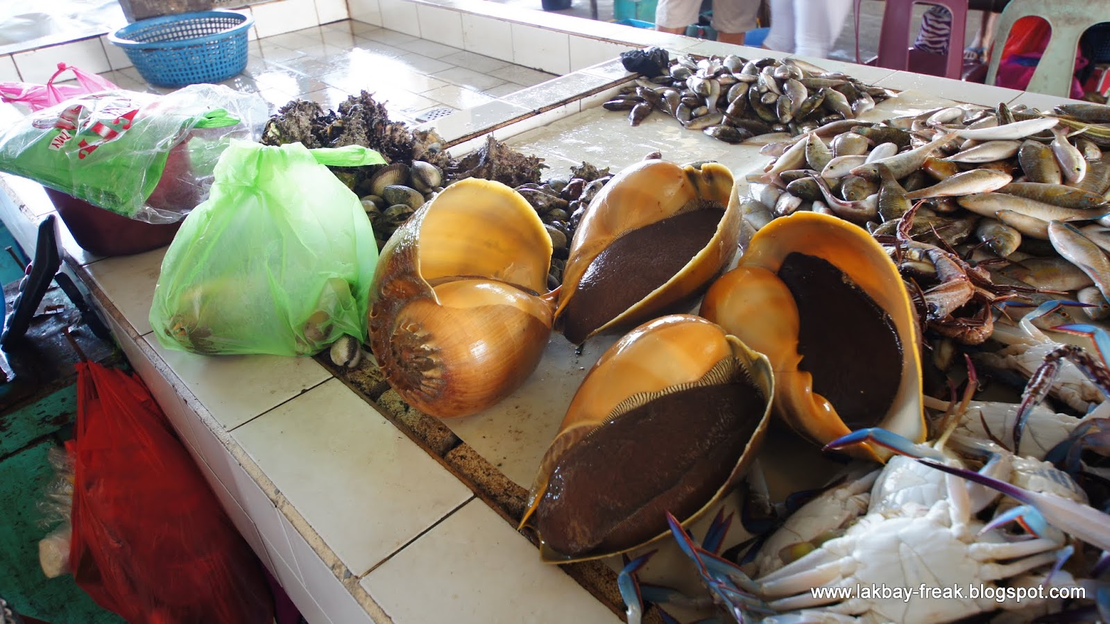 Alpha Xperian Edventures: Bantayan Island, Cebu