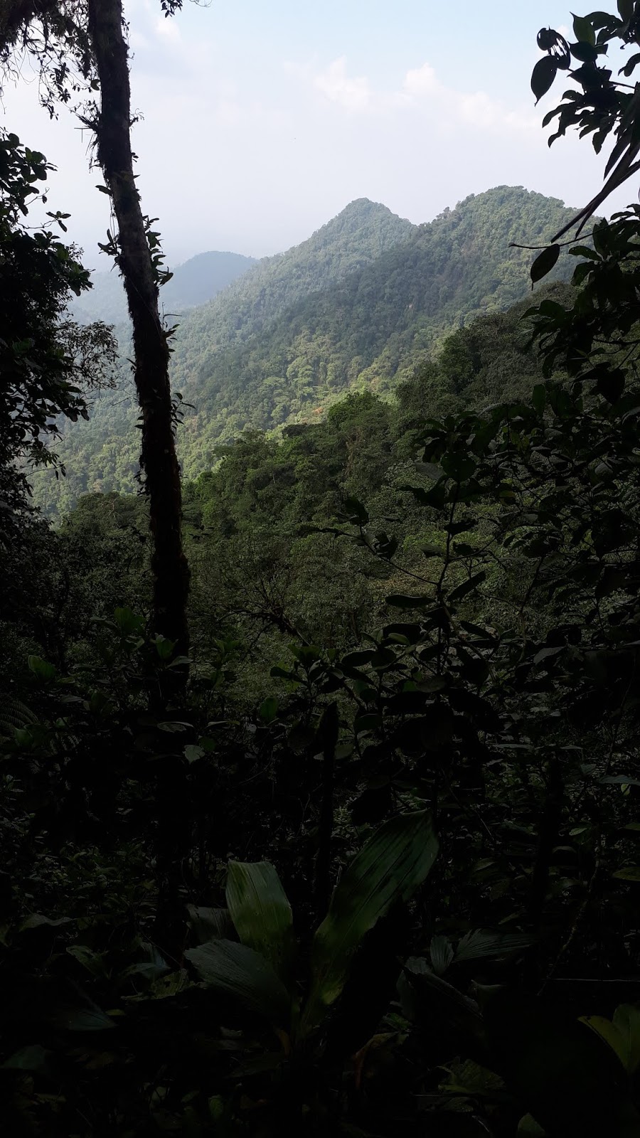 Jan Axel's Blog: April 2019