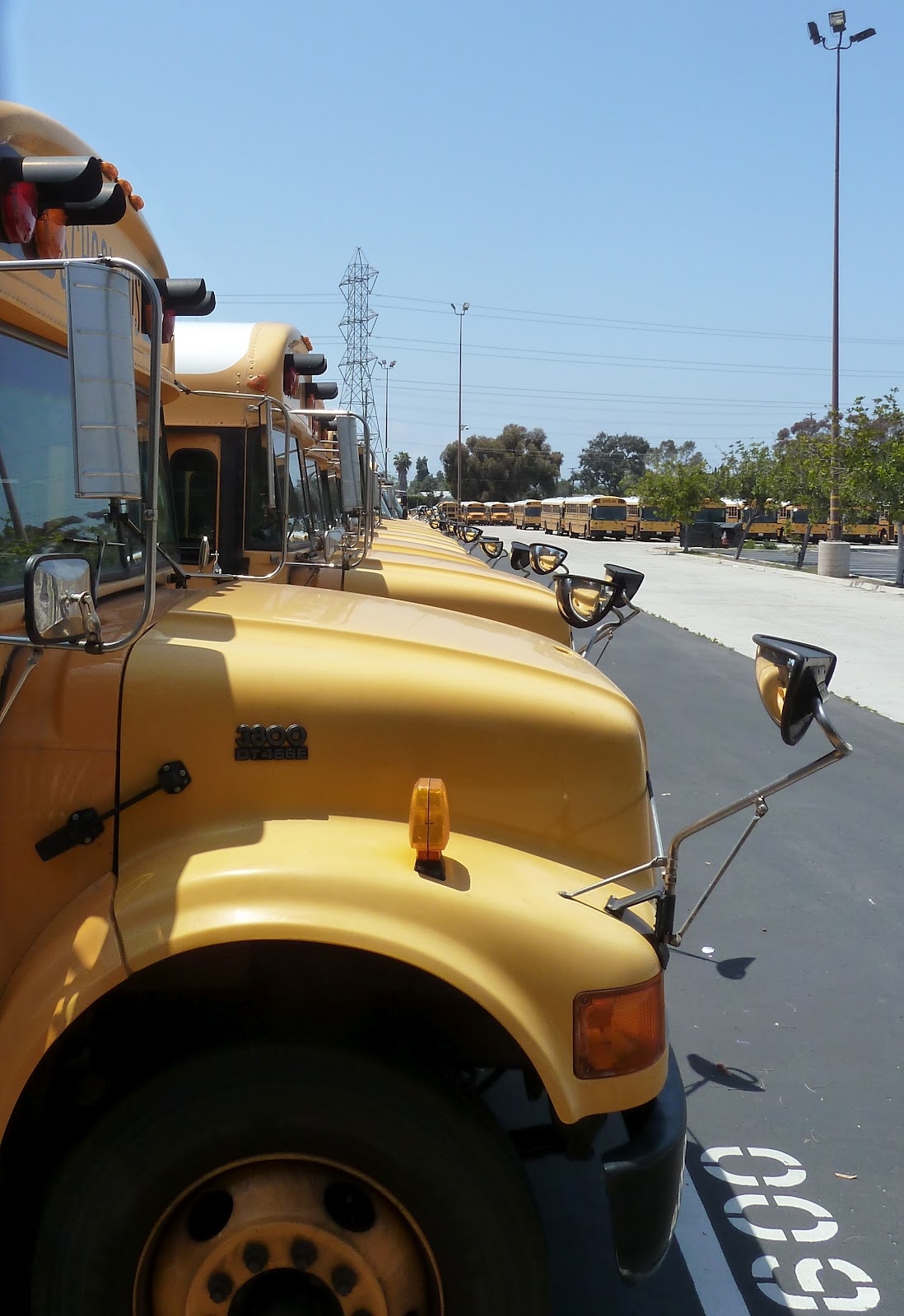 Observations: School Bus Lot