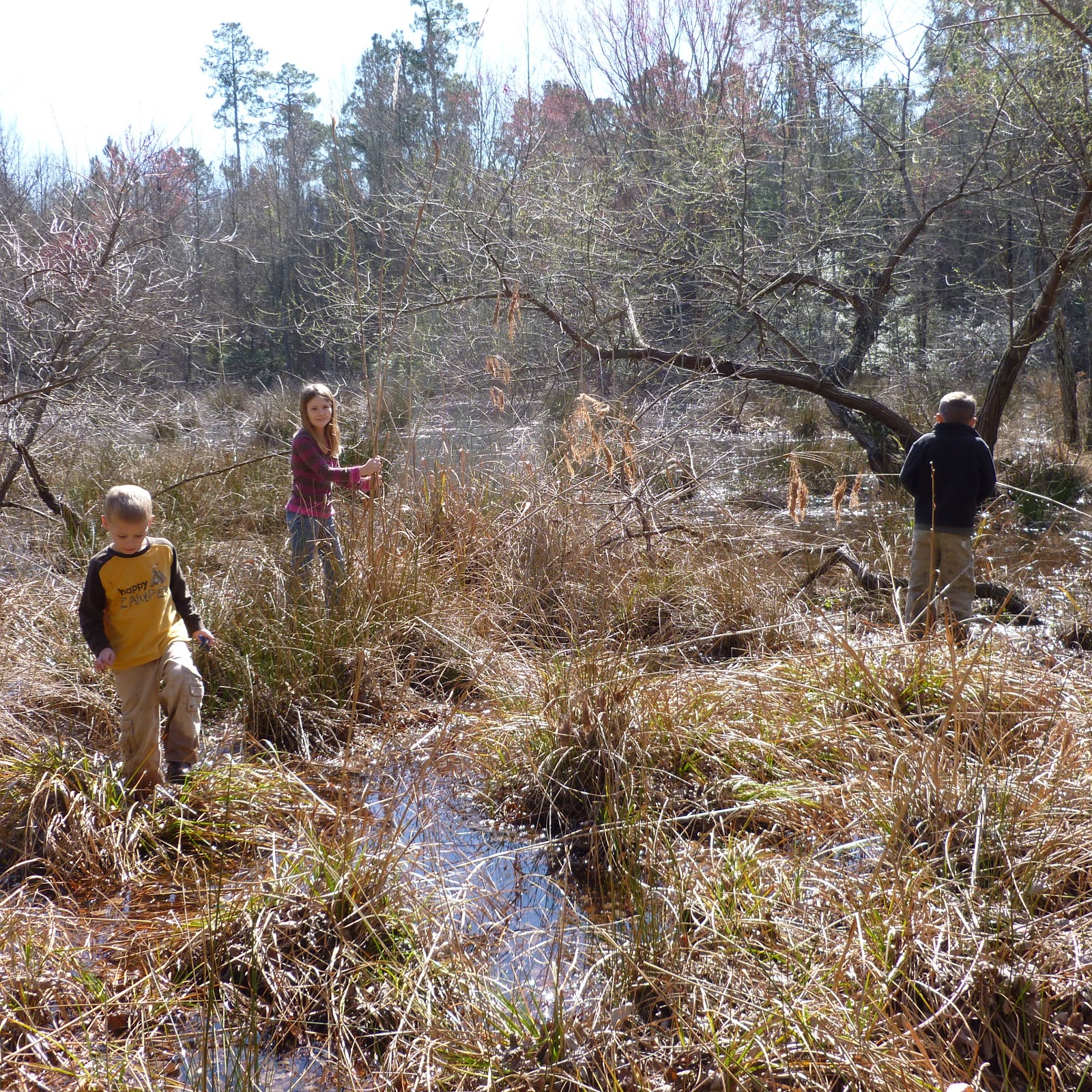 Aut-2B-Home in Carolina: What Happens When You Kiss a Frog?