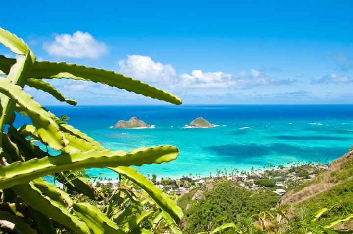 HikeOneHikeAll Hawaii: Kaiwa Ridge