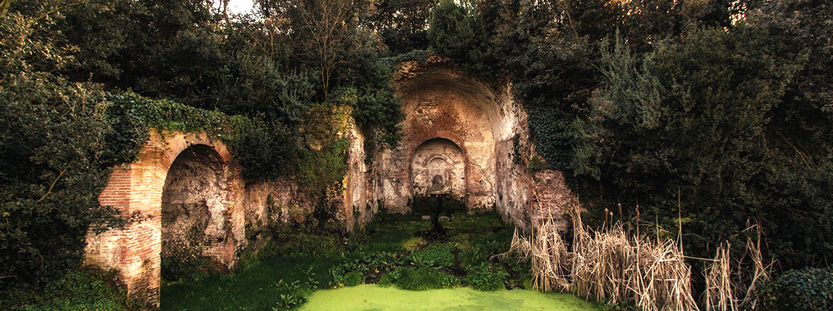 Storia delle cose: Viaggio alla scoperta della gustosità: Lo spasso ...