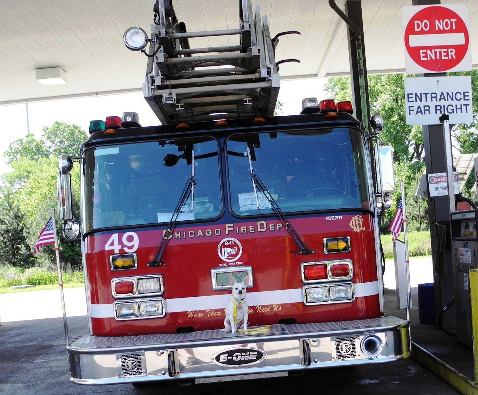 A Day in the Life of Piranha Banana: Chicago Fire Department - Truck 49!