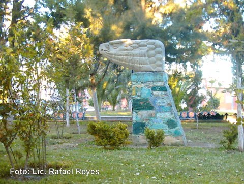 Cabezas de Aguila: Cedral, San Luis Potosí. Cabeza número 172