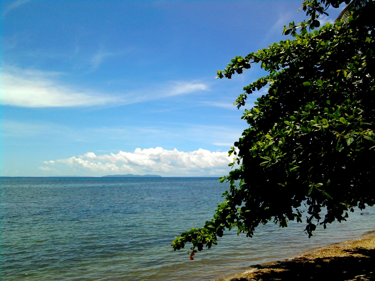 NATURE TRIP FROM SUNRISE TO SUNSET IN MASBATE