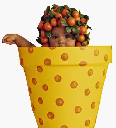 Anne Geddes Babies: Free Printable Images for Springtime. - Oh My Baby!