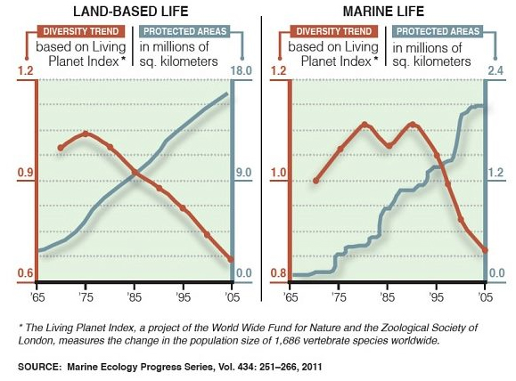 WeFish: How marine parks are protecting the Great Barrier Reef