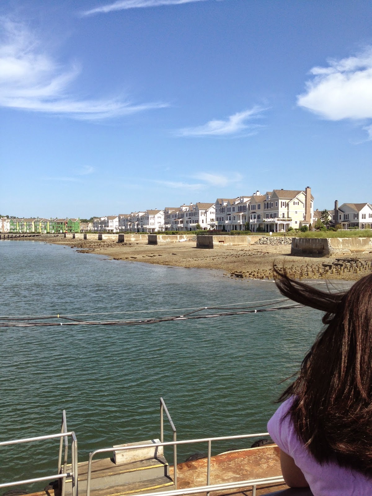From Snails to Whales: First Day at Boston Harbor