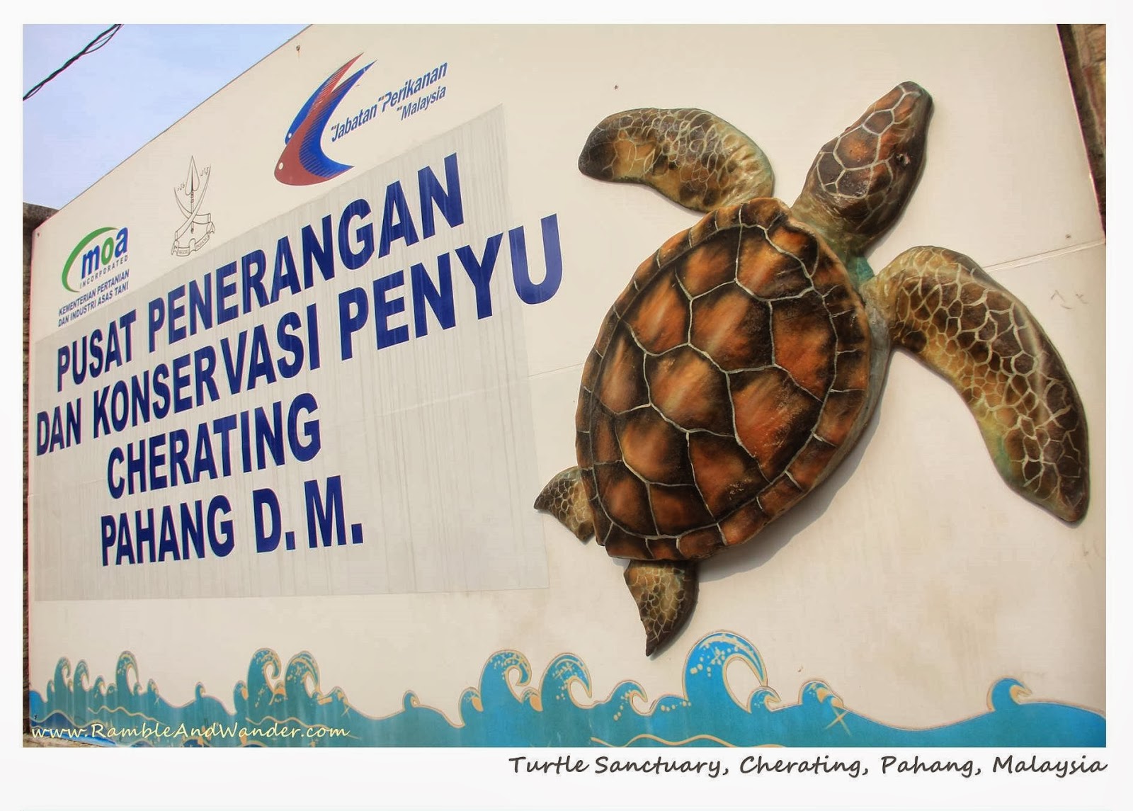Malaysia: Turtle Sanctuary in Cherating, Pahang - Ramble and Wander